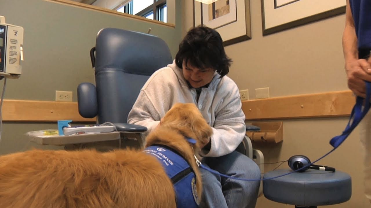 Spread The Love - Support Therapy Dogs - YouTube