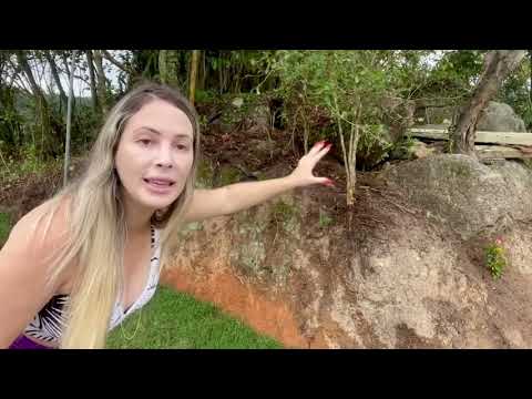 Vou criar coelhos nessa toca Caminhoneira Aline