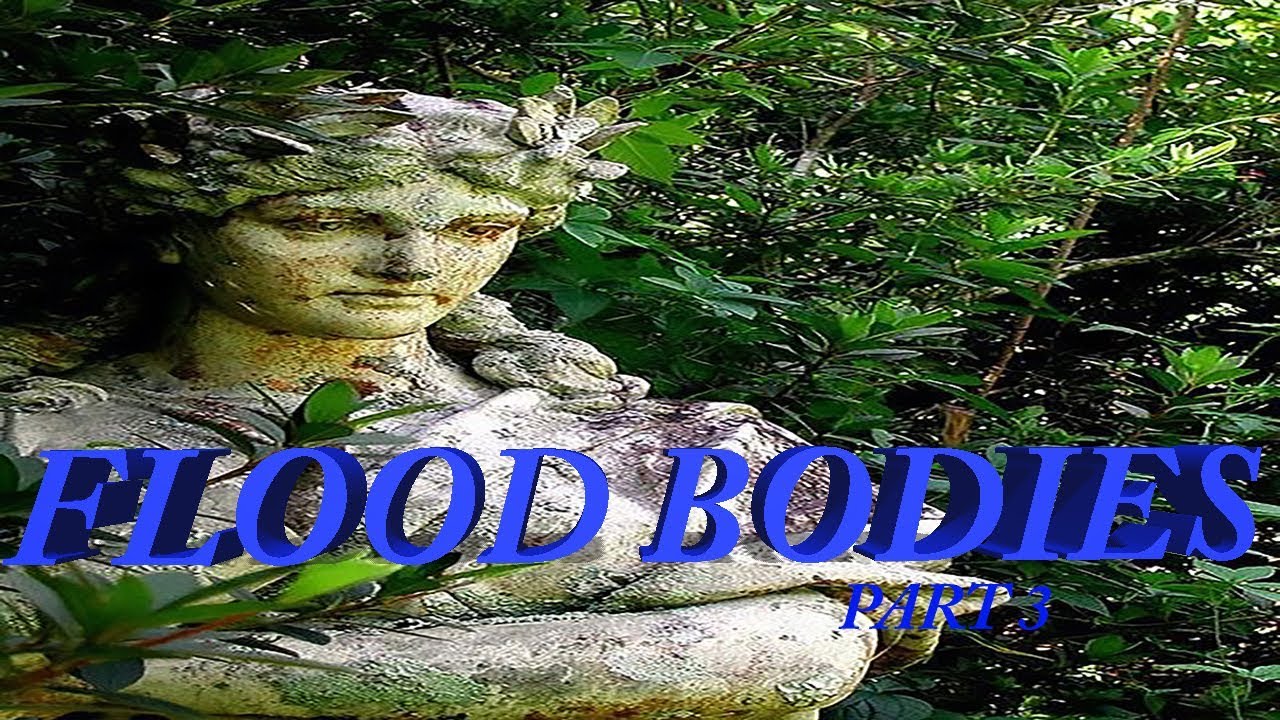 Flood Bodies Part 3-Petrified remains of the pre-Flood civilization ...