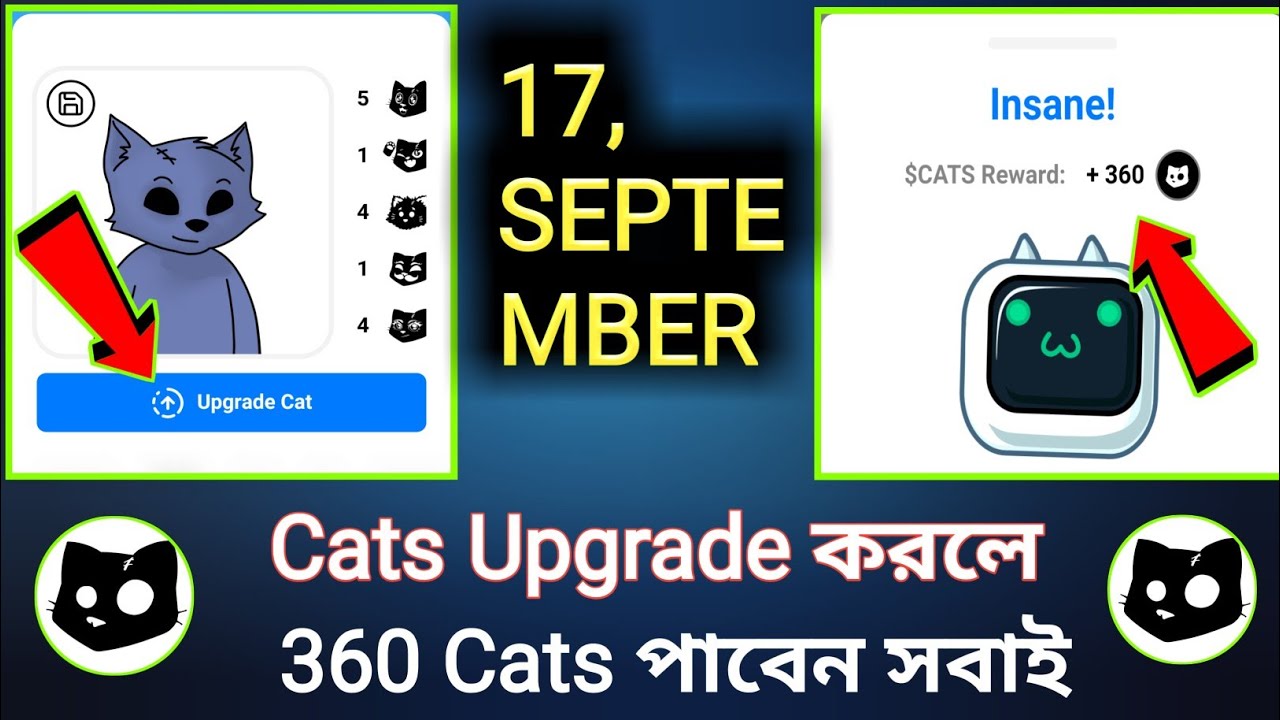 17 September Cats Upgrade | Cats Daily Photo Upload | Cats All Tasks ...