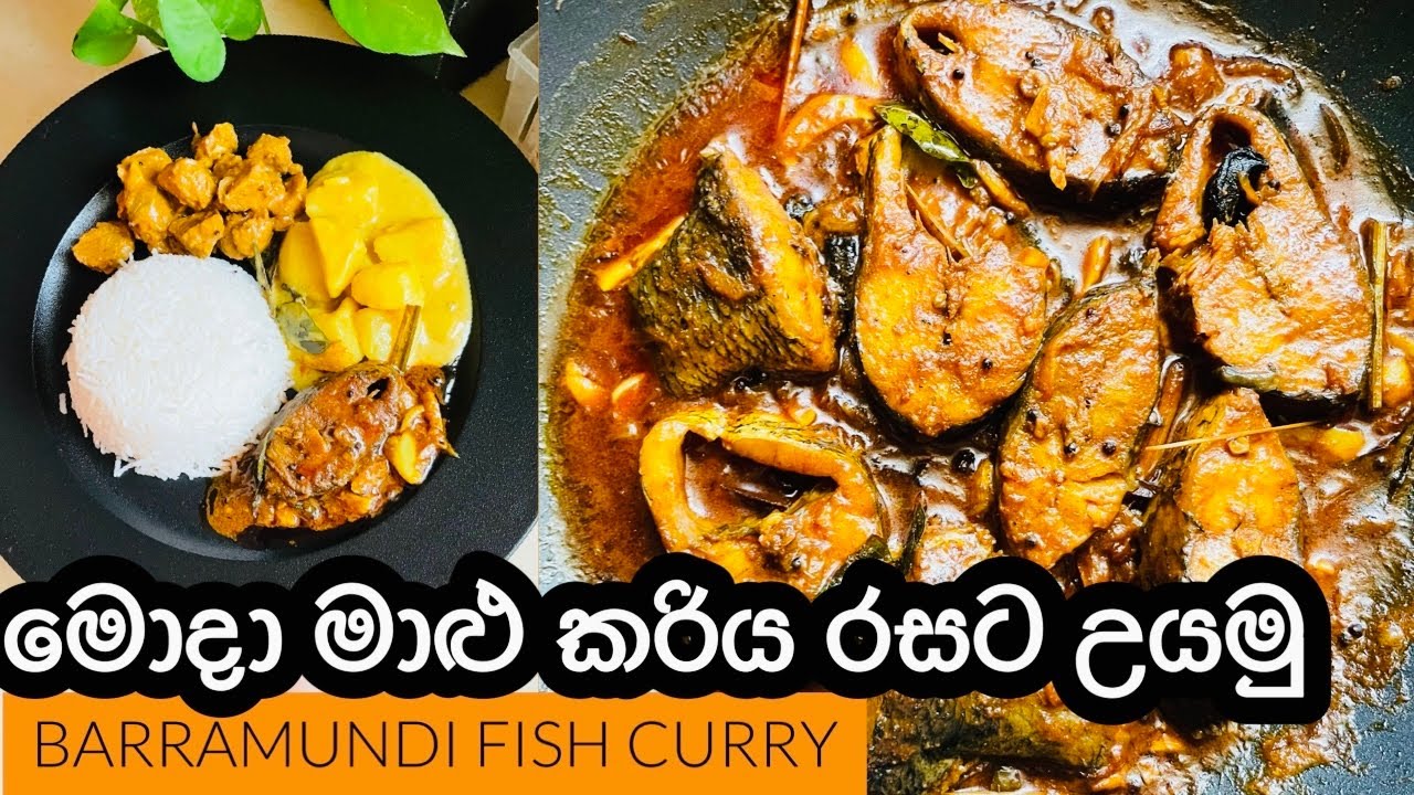 රසම මාළු කරියක් තමයි ලමයි මේ😋🐟|Barramundi fish Curry |Modha Fish Curry ...