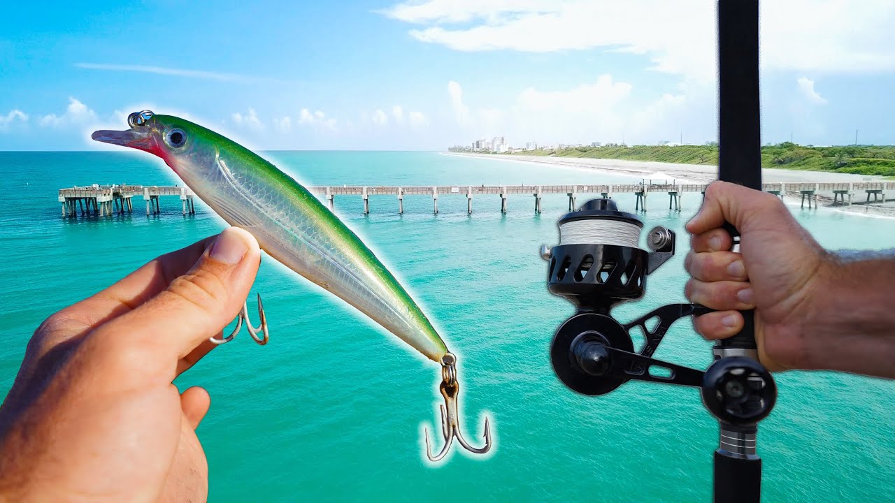 Catching Stud Pelagic Fish from Florida Pier - YouTube