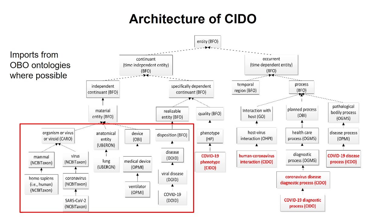 CIDO: The Community-based Coronavirus Infectious Disease Ontology - YouTube