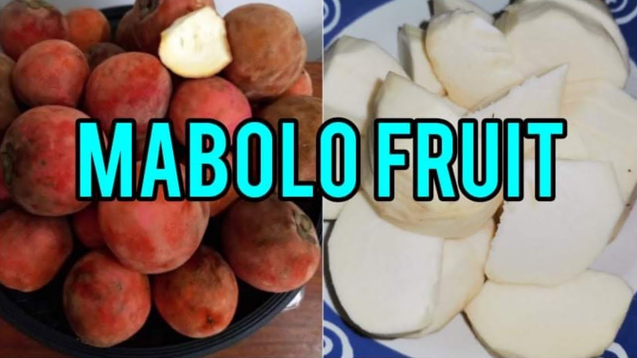MASARAP PALA ANG MABOLO FRUIT - YouTube