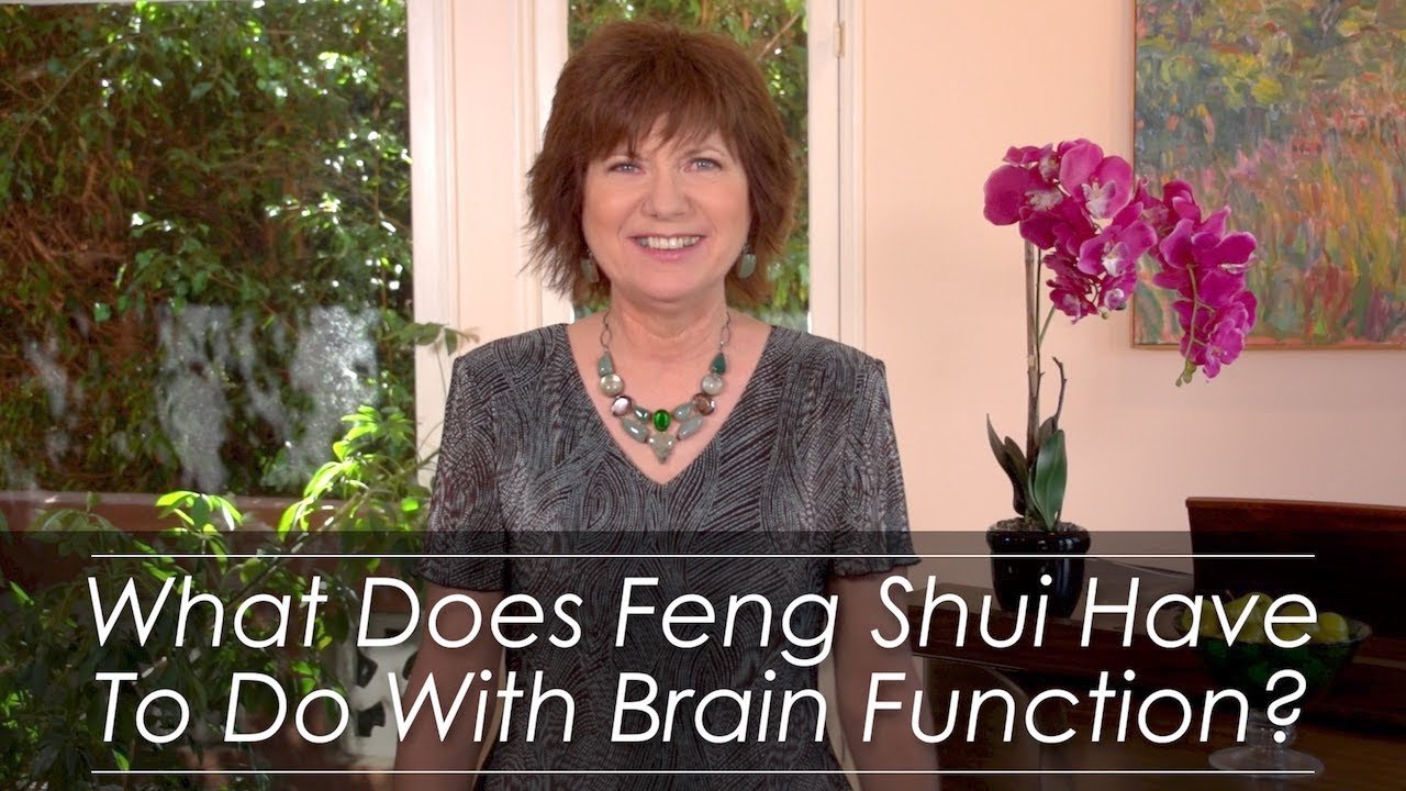 What Does Feng Shui Have To Do With Brain Function? - YouTube