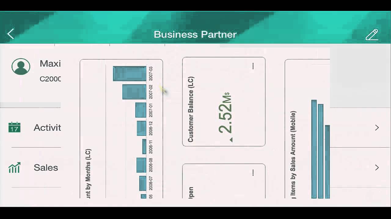 SAP Business One Sales App for iOS - YouTube