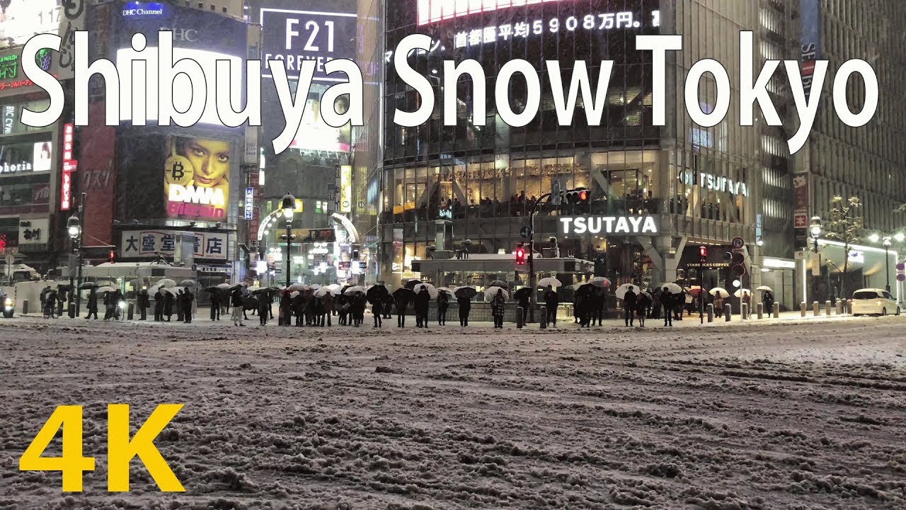 [4K60fps] Tokyo Snow (Shibuya Crossing) [Japan Travel Guide] - YouTube