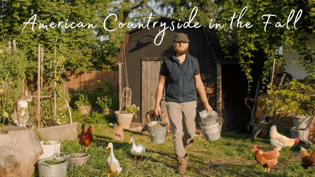 Our Simple Countryside Life | Bread Baking, DIY Rollout Chicken Nest ...