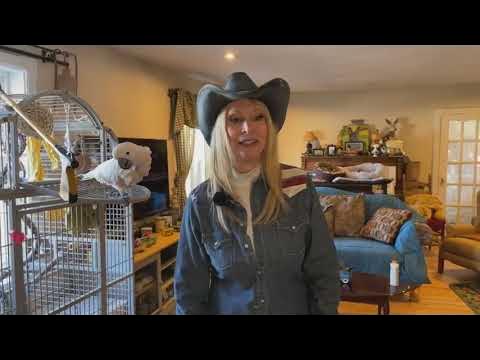 Funny Farm Live Show Episode 94 - YouTube