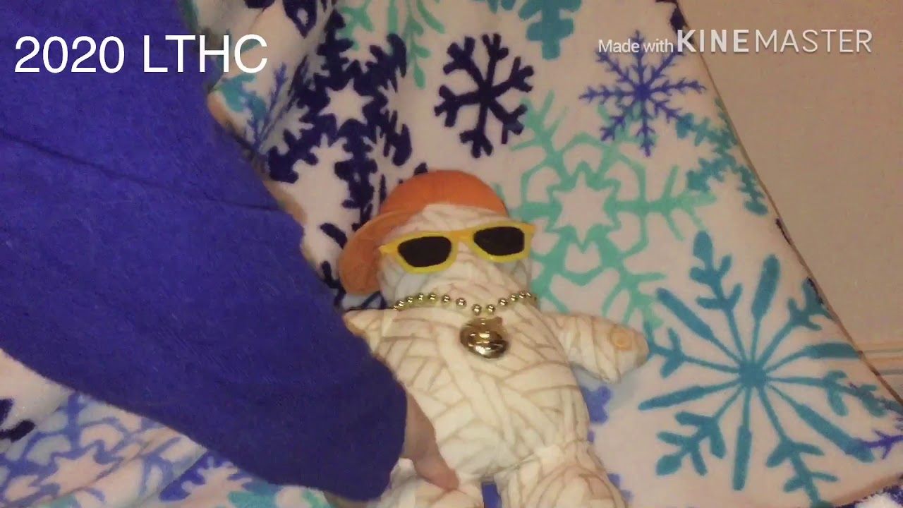 Hallmark 2016 Rapping mummy plush - YouTube