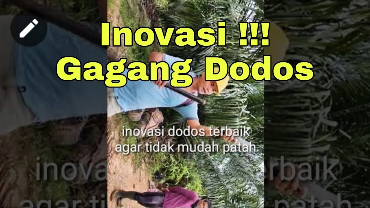 Bisa di Tiru !!! inovasi: gagang dodos sawit agar tidak mudah patah ...