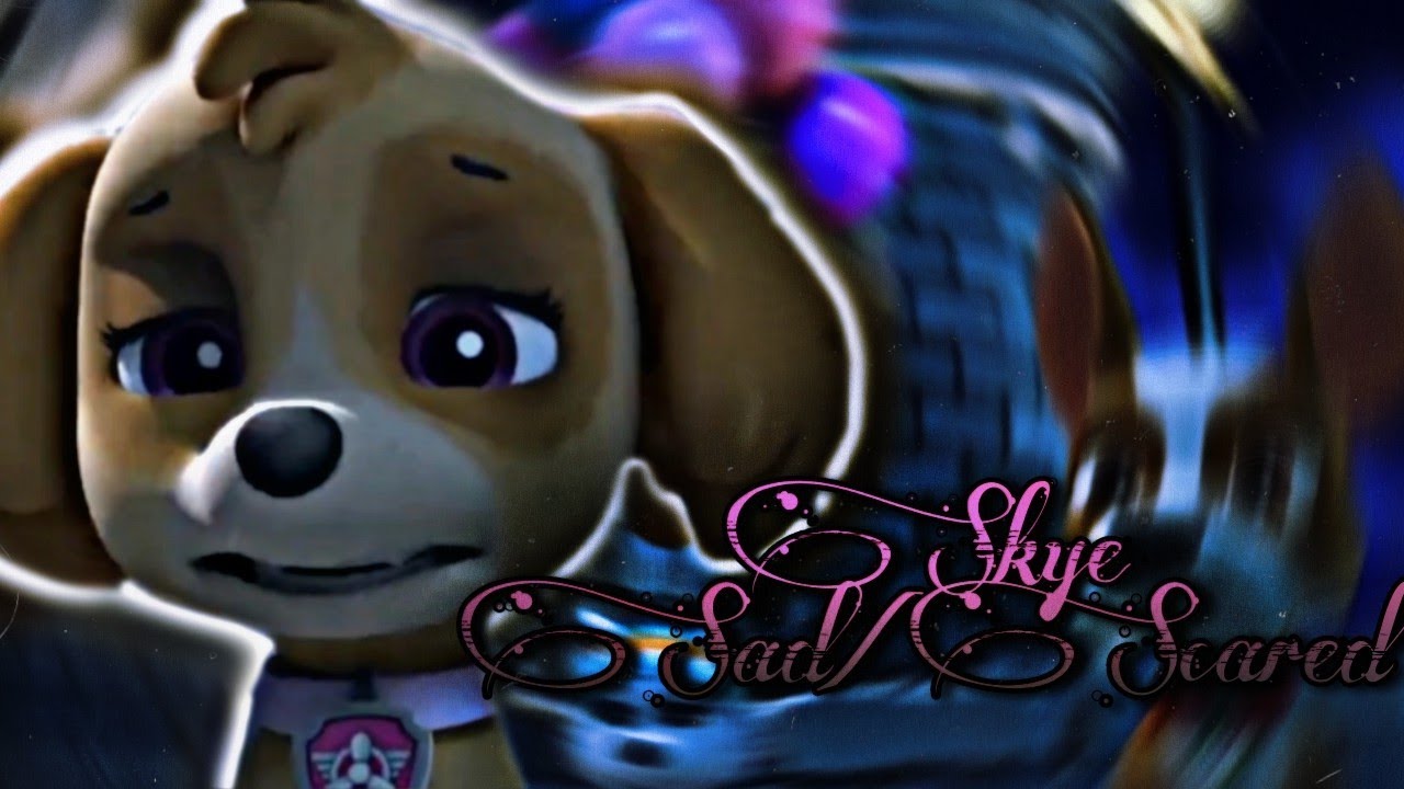 ׂ╰┈ 𝑷𝒂𝒘 𝒑𝒂𝒕𝒓𝒐𝒍: 𝑱𝒆𝒕 𝒕𝒐 𝒕𝒉𝒆 𝒓𝒆𝒔𝒄𝒖𝒆| 𝑺𝒌𝒚𝒆 𝒔𝒂𝒅/𝑺𝒄𝒂𝒓𝒆𝒅 (𝑪𝒍𝒊𝒑) ༉‧₊˚. - YouTube