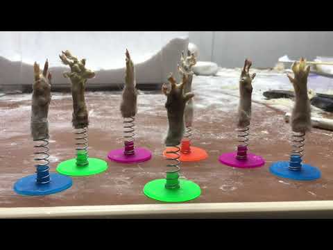 Portable High Five Machine, Informercial - YouTube