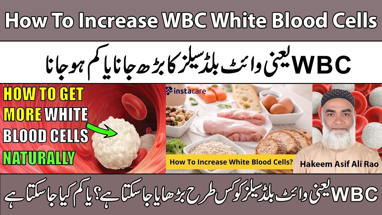| How To Increase WBC White Blood Cells | WBC White Blood Cells Barah Jana Ya Kam Ho Jana - YouTube