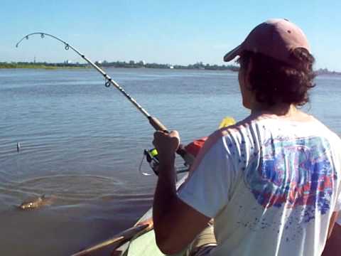 pesca de armado parte3 - YouTube
