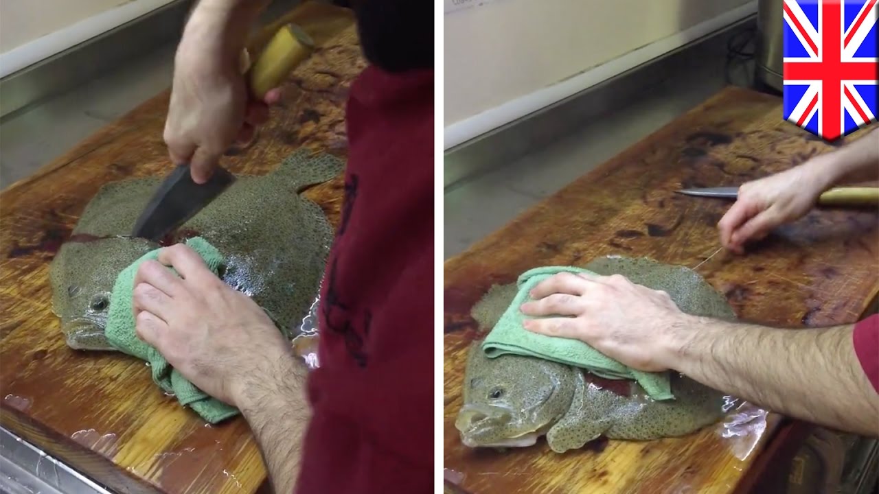 How to make sushi: Restaurant criticized for posting video of chef ...