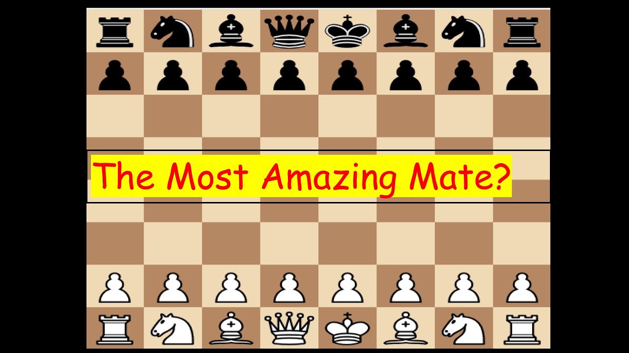 The Smothered Mate - YouTube