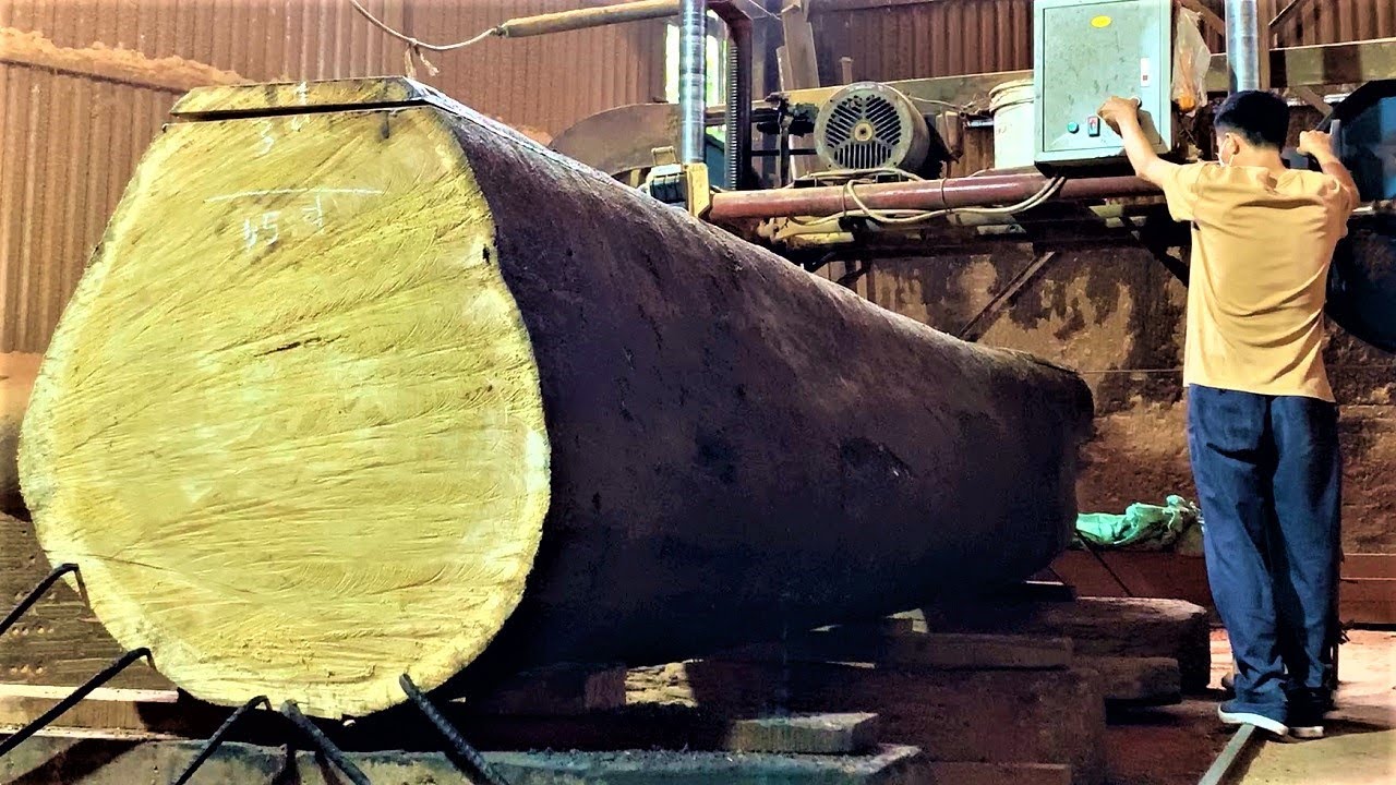 Amazing Sawmill Wood Cutting - The Production Process Of Raw Wood And ...