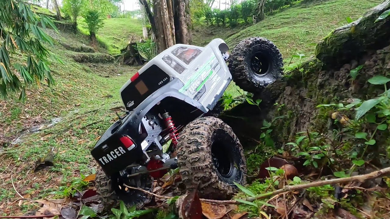 Tracing roots - YouTube