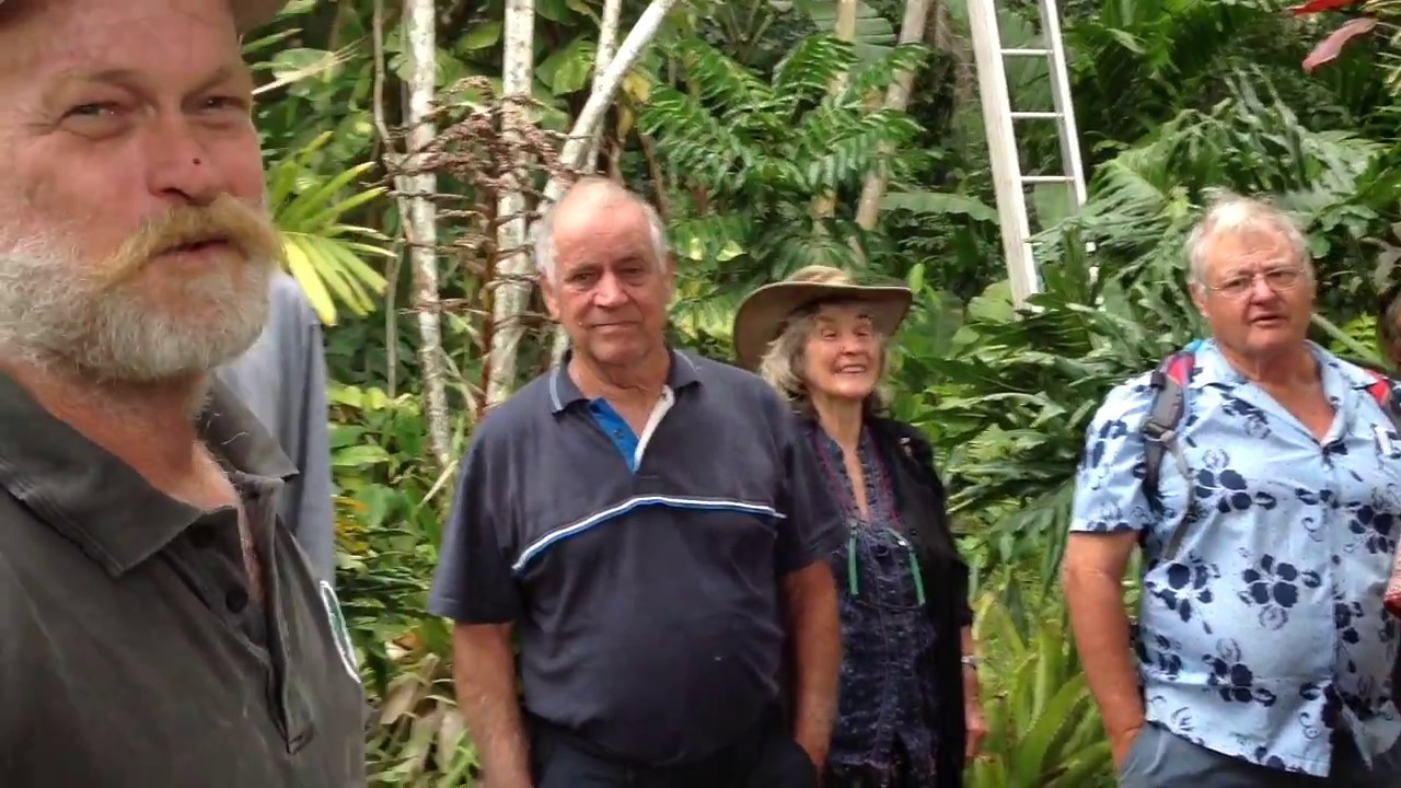 whyanbeel arboretum - snippets from the rare fruits tour - YouTube
