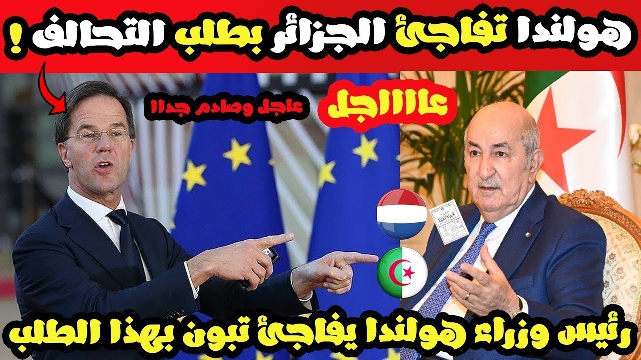 عاااجل رئيس وزراء هولندا يفاجئ تبون بطلب التحالف العسكري والإقتصادي