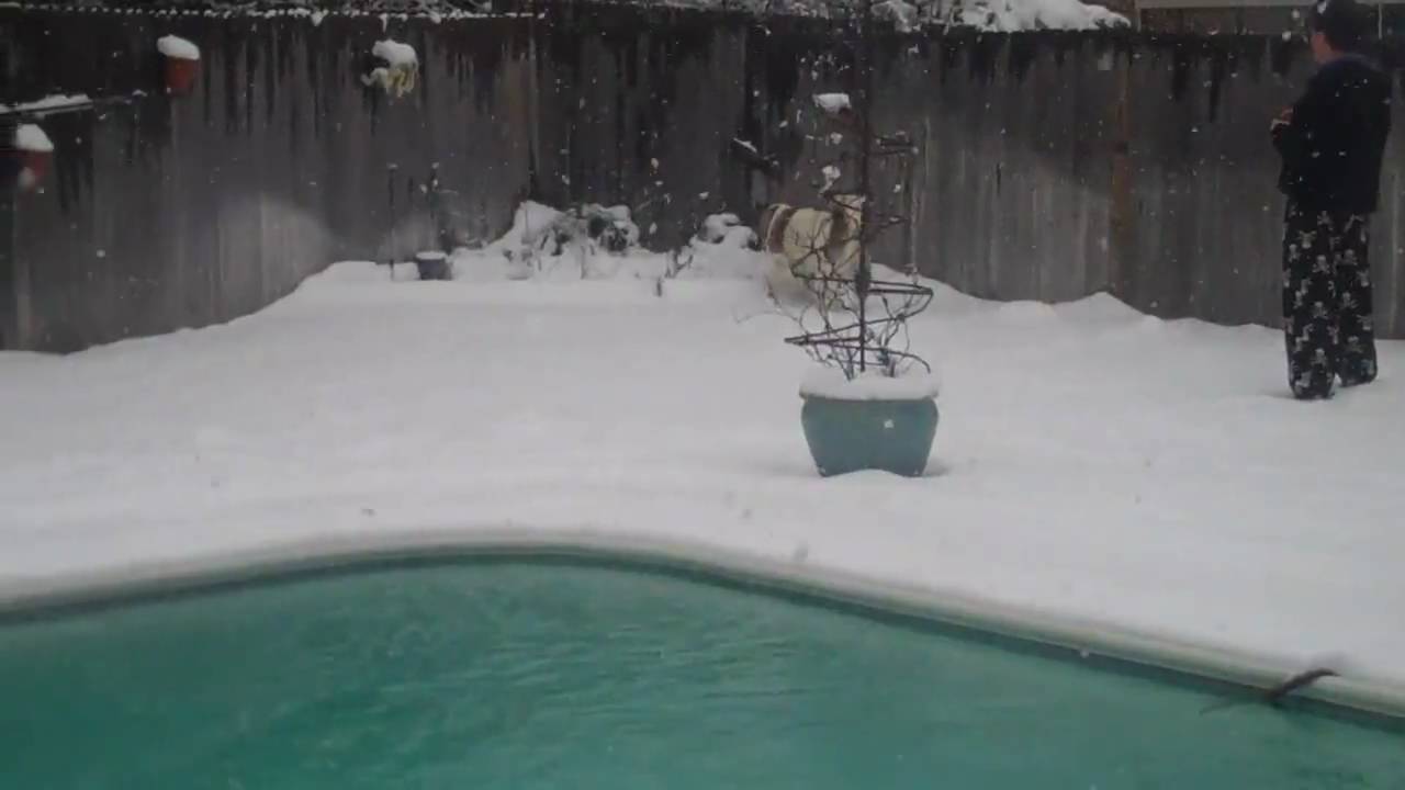 Yoshi in the snow - YouTube