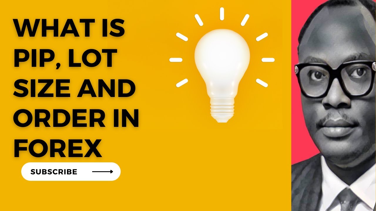WHAT IS PIP, LOT SIZE AND ORDER IN FOREX - YouTube
