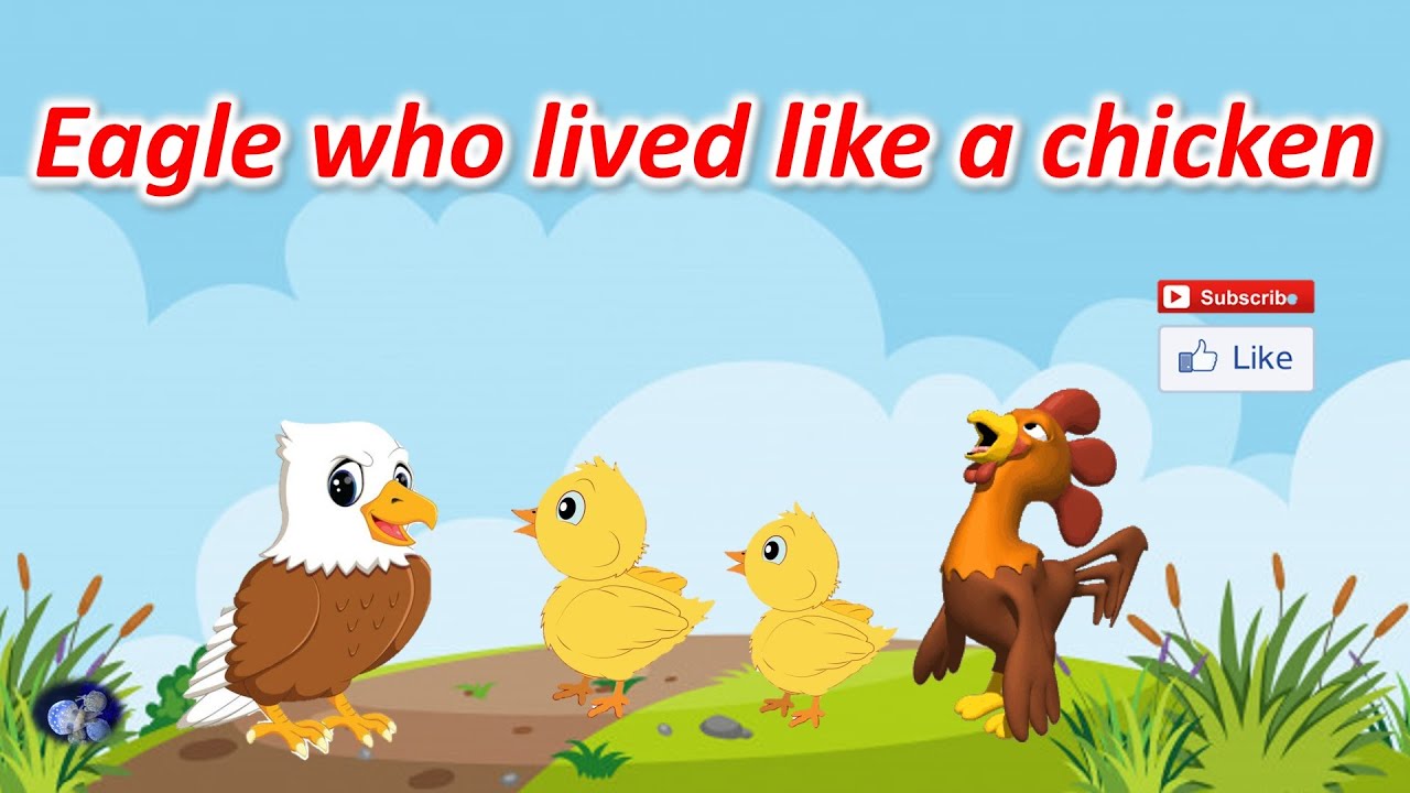 Eagle who lived like a chicken | Kids Short Story | Moral story ...