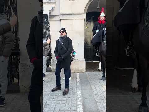 The Pure Joy of Meeting a Royal Guard Horse Up Close
