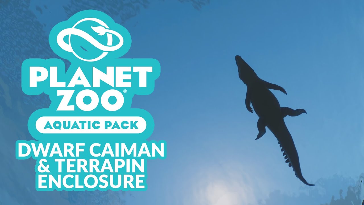 PLANET ZOO AQUATIC PACK DLC | Dwarf Caiman & Diamondback Terrapin ...