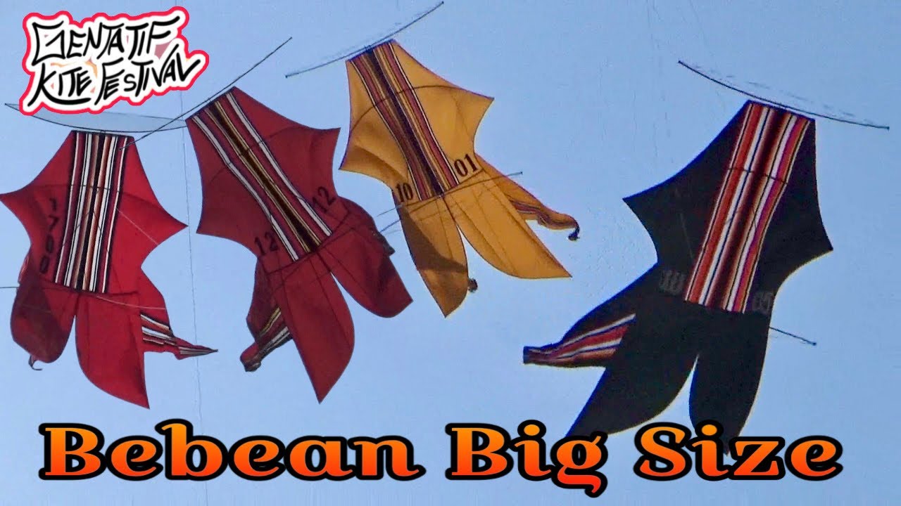 SITUASI KRODIT 26 BEBEAN BIG SIZE TERBANG BERSAMAAN - YouTube