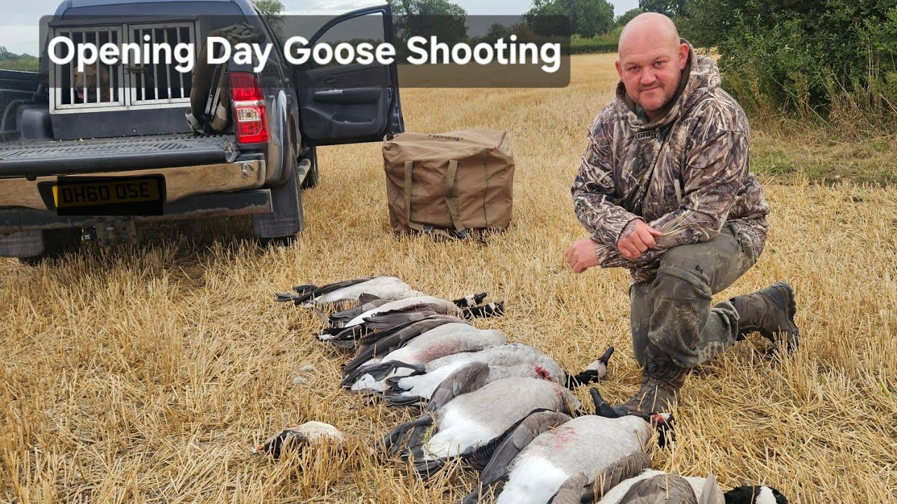 Opening Day Goose Shooting #shoot #Shooting #geese #goose # ...