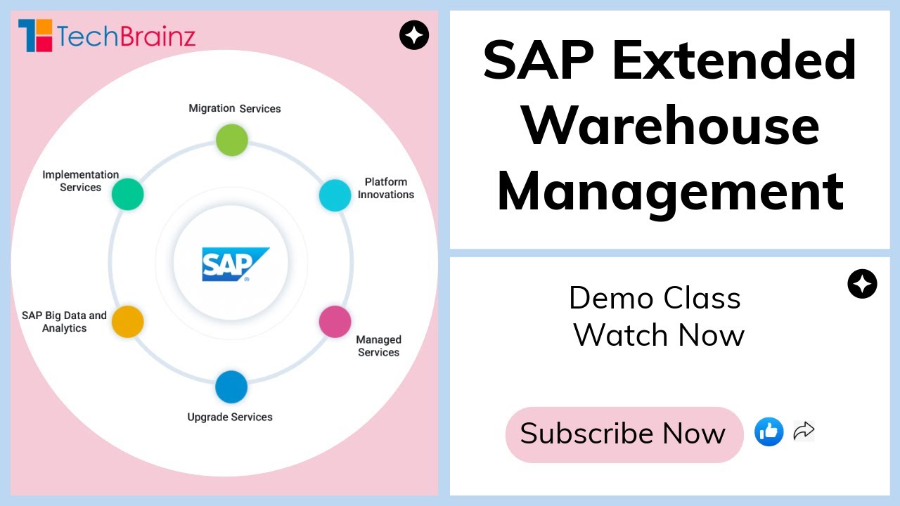SAP EWM Demo By TechBrainz Anup - YouTube
