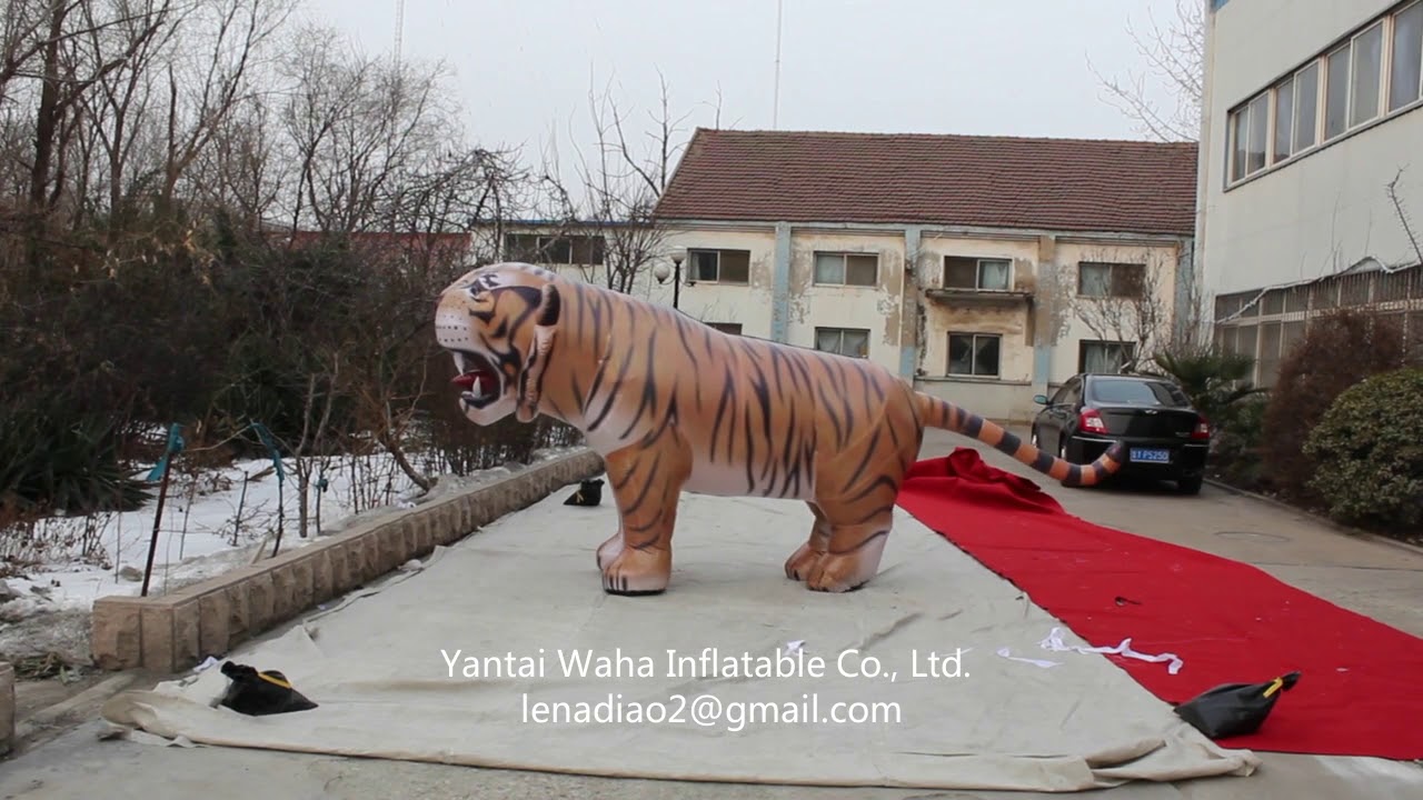3m Walking Inflatable Tiger Mascot Costume - YouTube