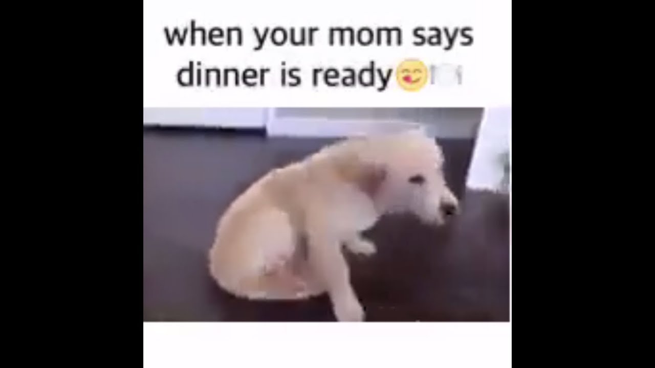 When your mom says dinner is ready - YouTube