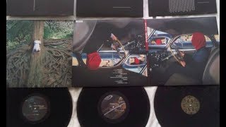 Frances The Mute Vinyl