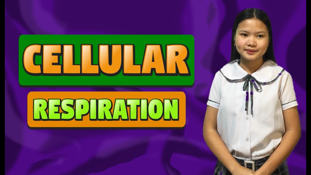 SIYENSIKULA 2021: CELL RESPIRATION (TAGALOG), MAYBUBON INTEGRATED ...