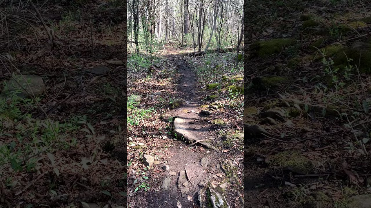 A Walking Meditation - YouTube