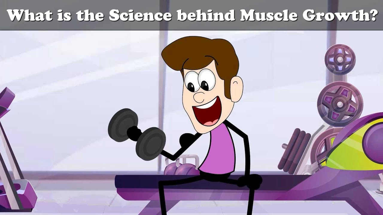 What is the Science behind Muscle Growth? + more videos | #aumsum #kids ...
