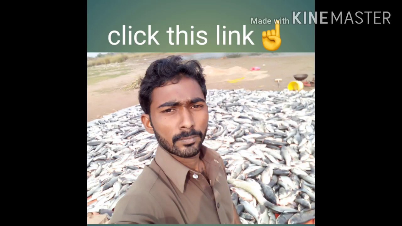 Samundri fish.https://youtu.be/KzZu0dKCkIw.20.2020 - YouTube