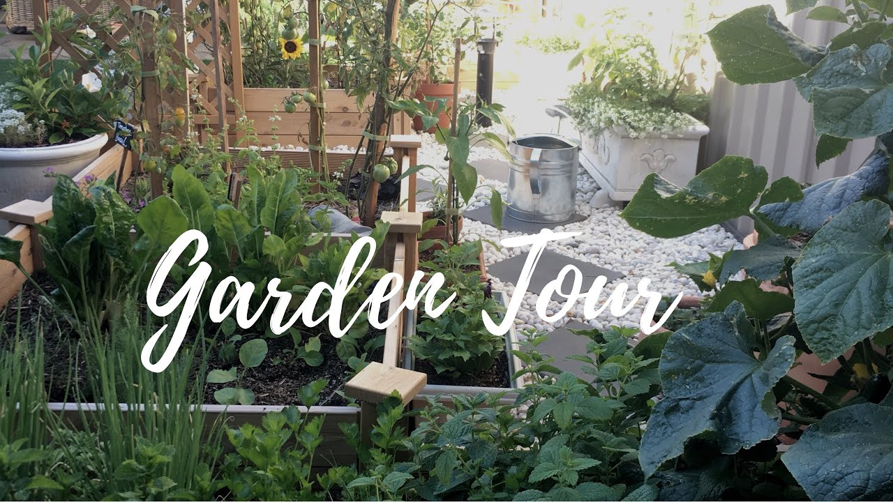 Garden Tour Introduction! - YouTube