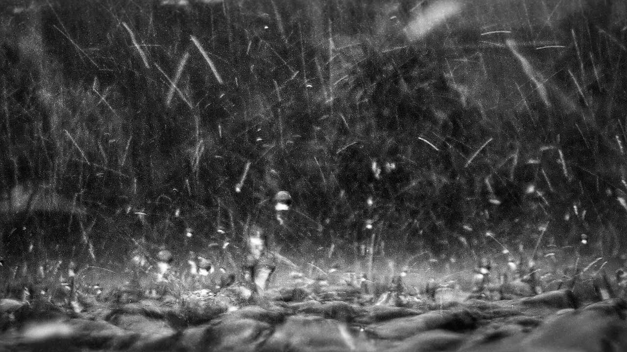 Monsoon Rain | Rain sounds | Nature sounds - YouTube