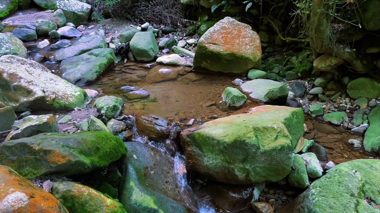 Feeling Overwhelmed? Let These Water Sounds Wash Away Your Stress 🌊 #riversounds #sleepsounds ...