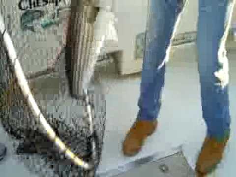 Rudee Inlet Fishing for Virginia Beach Fishing - YouTube