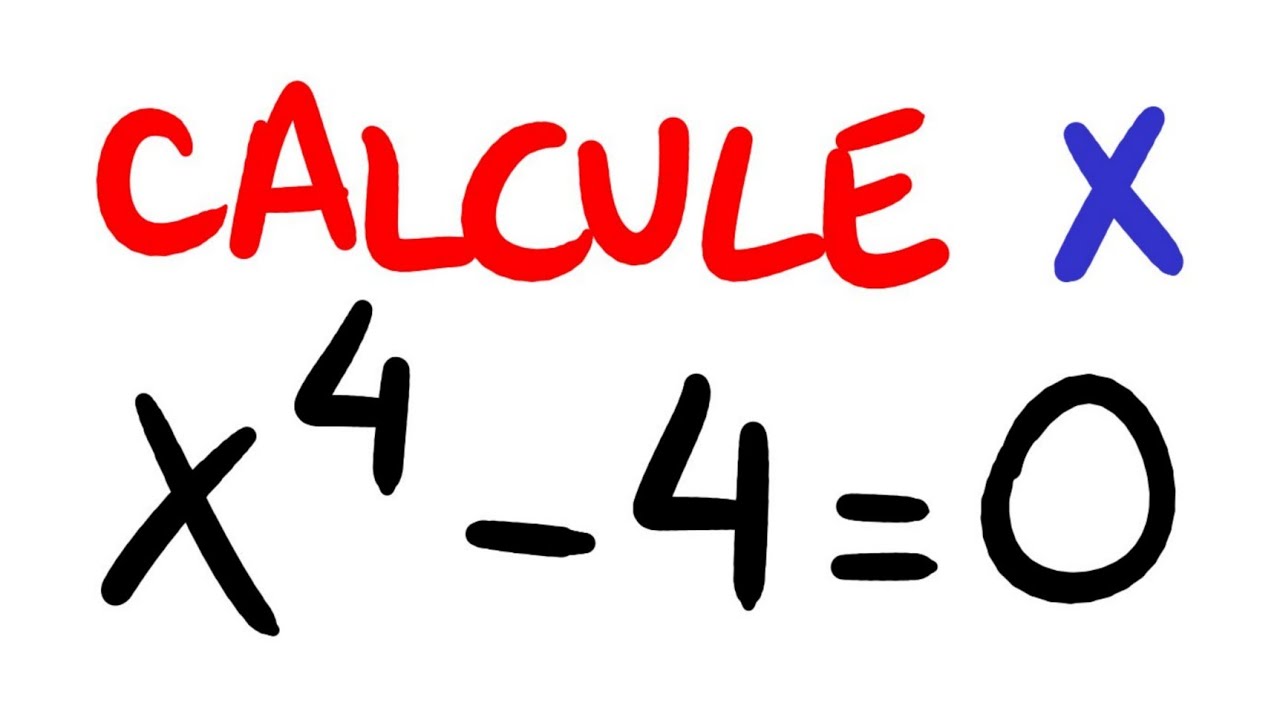 Essa Equação de 4º Grau é Top - YouTube