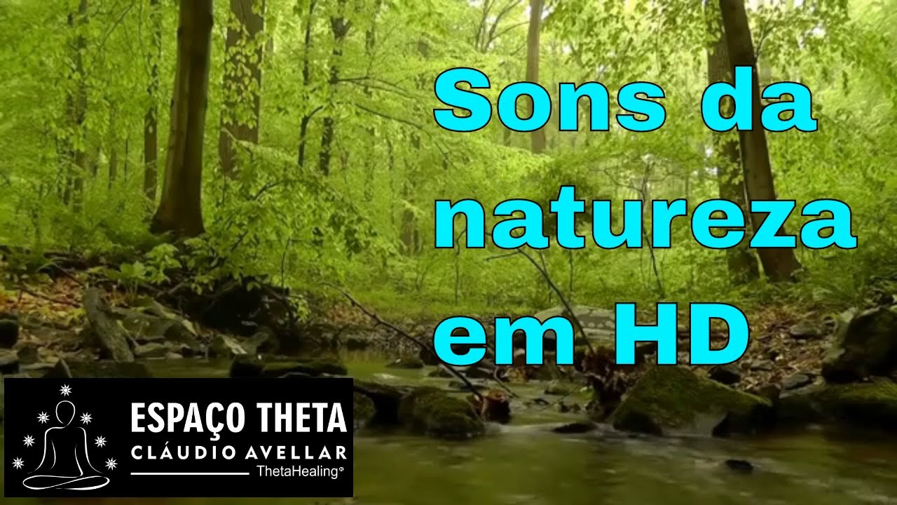 Sons da natureza | som de floresta, riacho, pássaros e água corrente ...