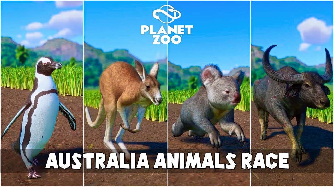Australian Animals Race, Flamingo vs Kangaroo vs Koala vs Little ...