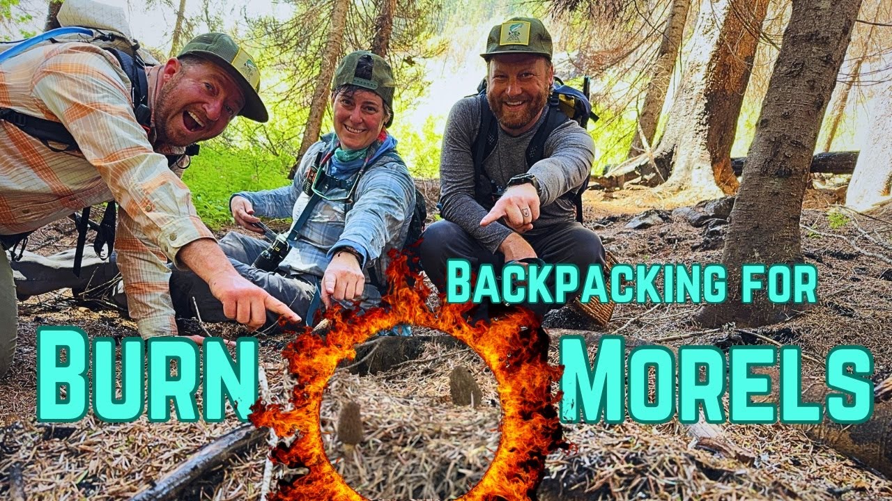 Backpacking for Burn Morels - YouTube