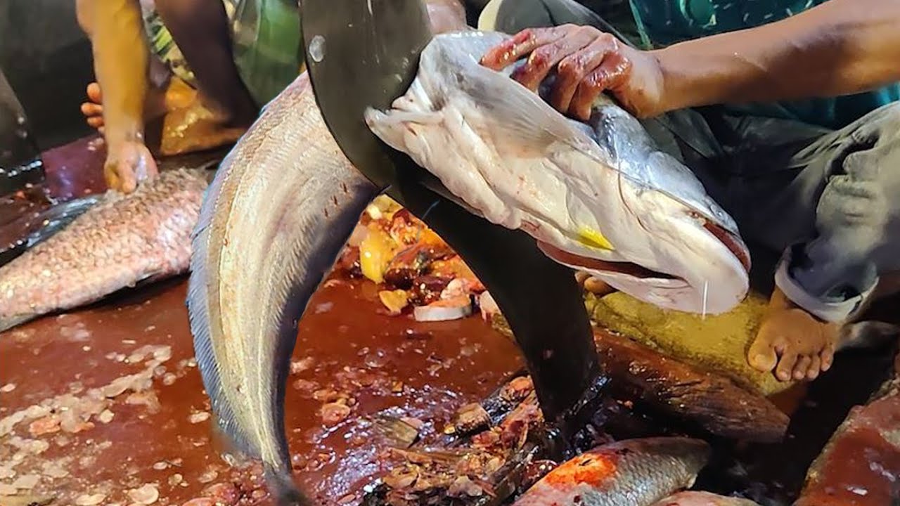 Giant Monster Wallago Attu Catfish Cutting l Bangladeshi Fish Market ...