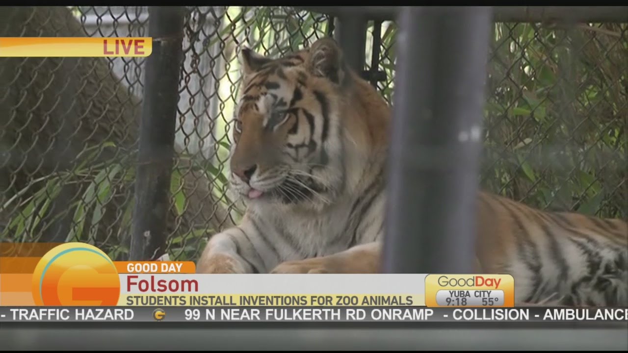 Students Zoo Inventions - YouTube